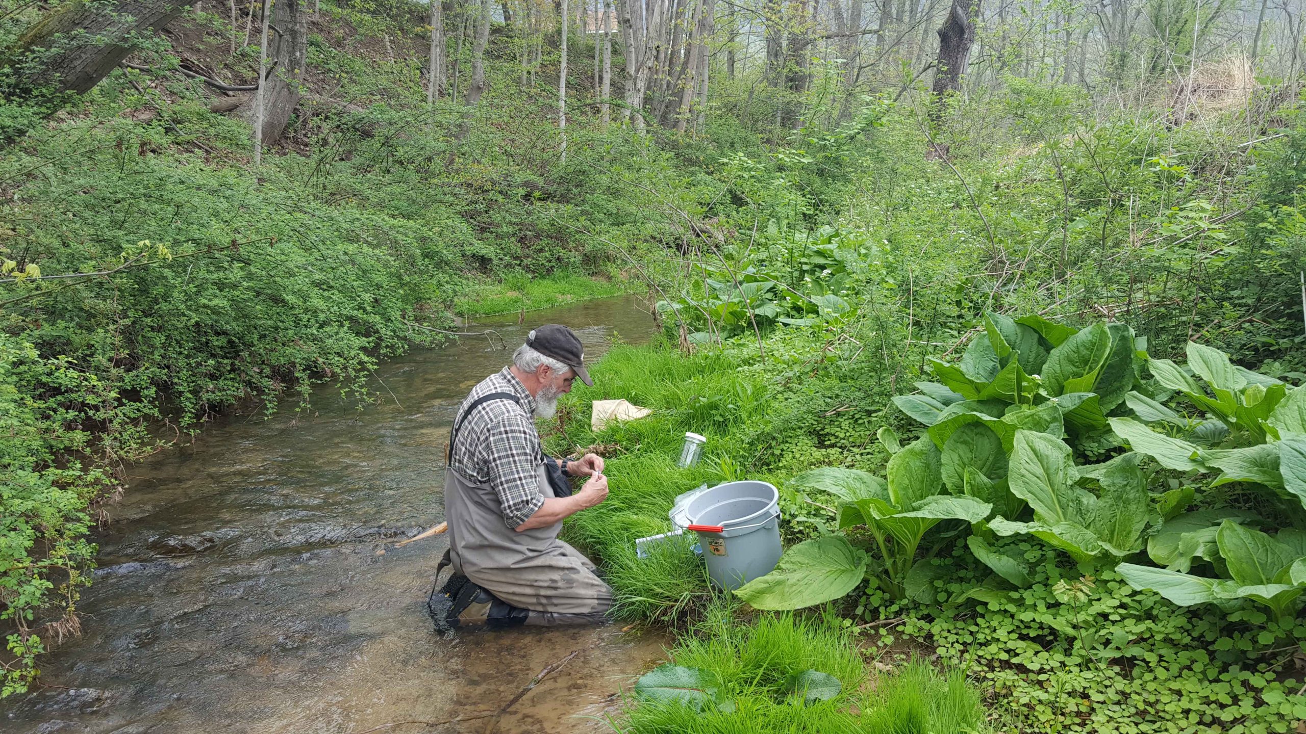 Local Conservation at Work for You